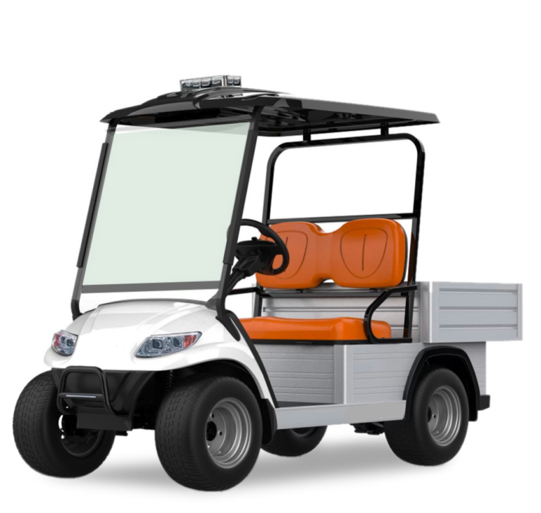 2 Seater short Utility Cargo - Electric Car UAE